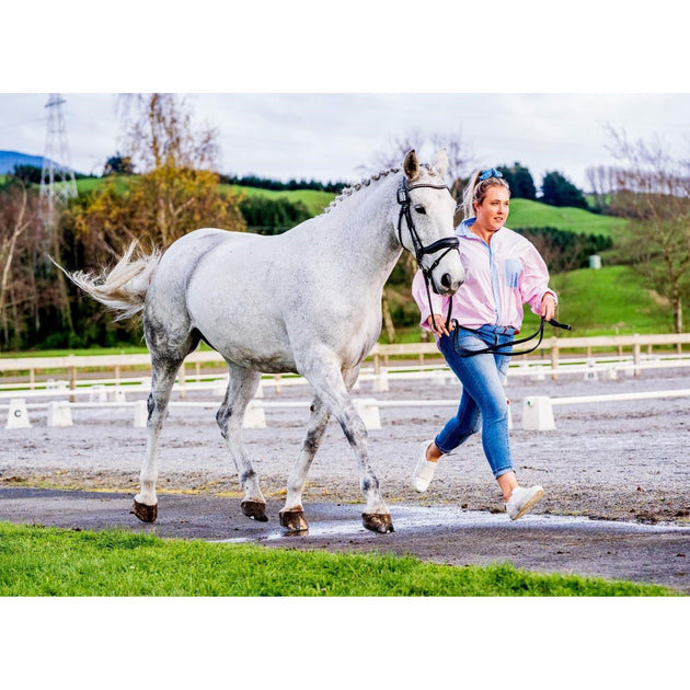 Examples of a cross stitch design - Horse | DoodleCraft Design